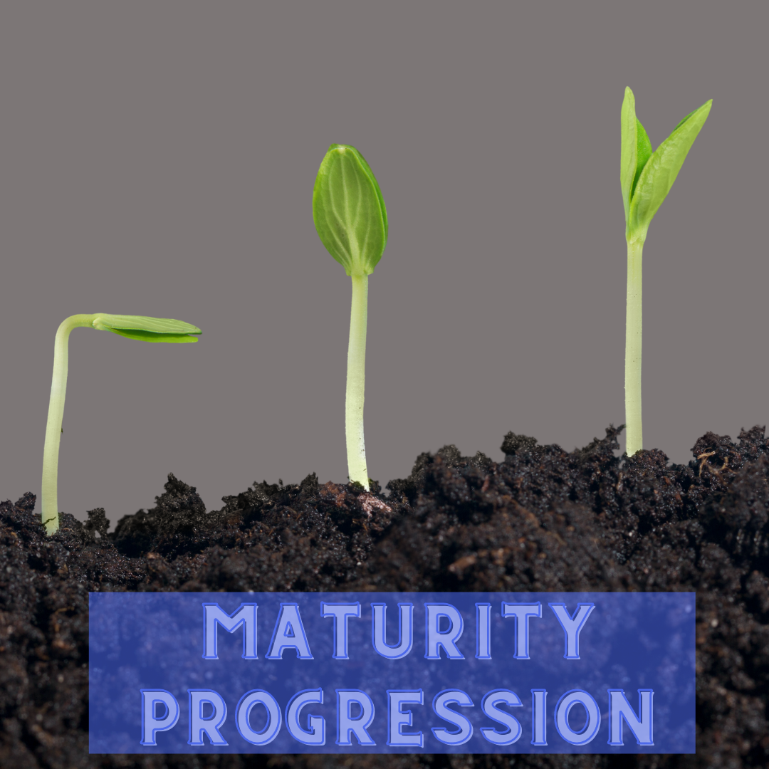 Maturity Progression