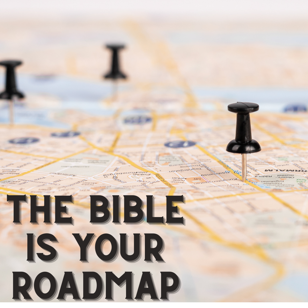 What are you using as a roadmap?